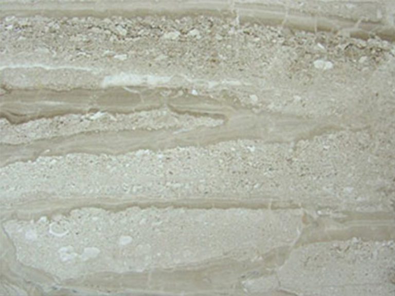 Daino Reale Marble | Exquisite Natural Stone